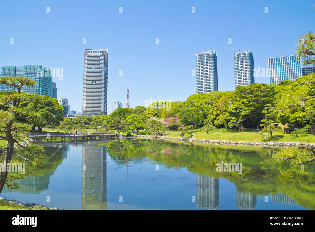 Hamarikyu garden in spring and high rise apartment buildings Stock ...