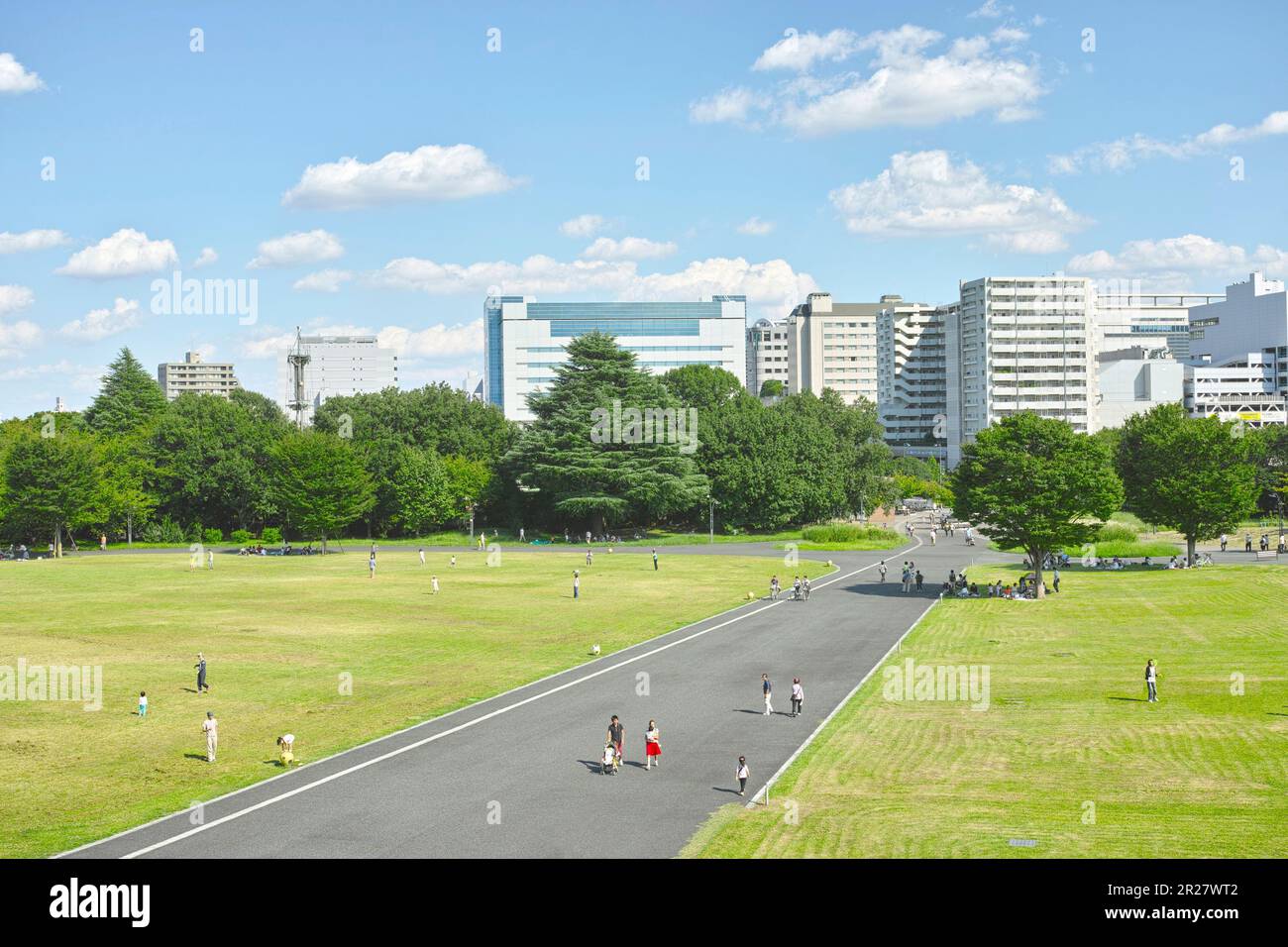 Tachikawa city buildings and the Showa Memorial Park Stock Photo - Alamy