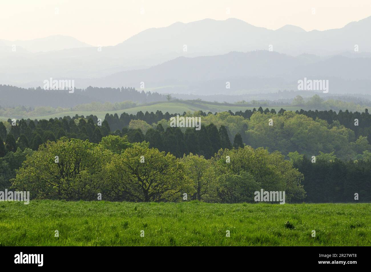 Kuju kogen hi-res stock photography and images - Alamy