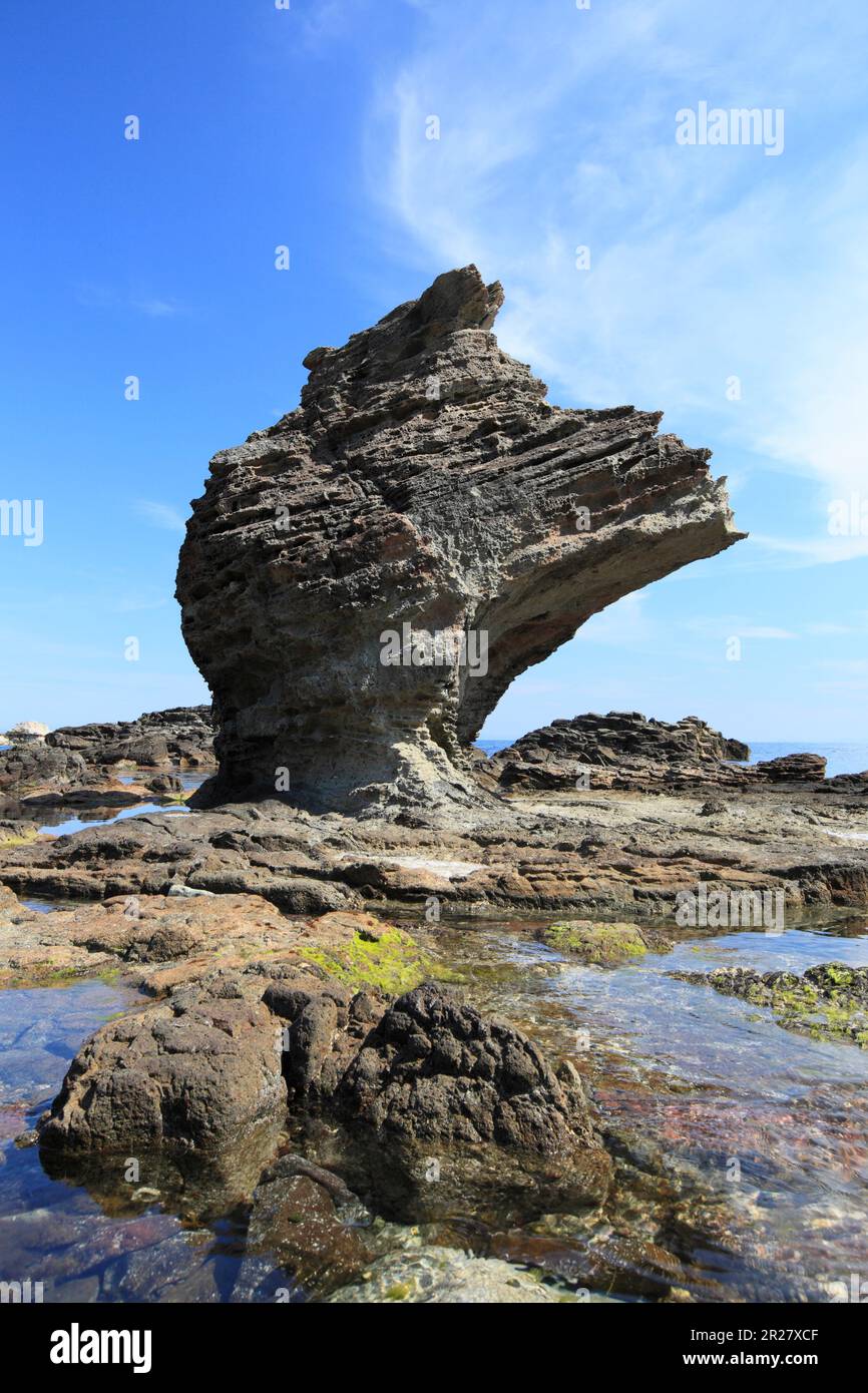 Senjojiki coast and Kabuto Rock Stock Photo - Alamy