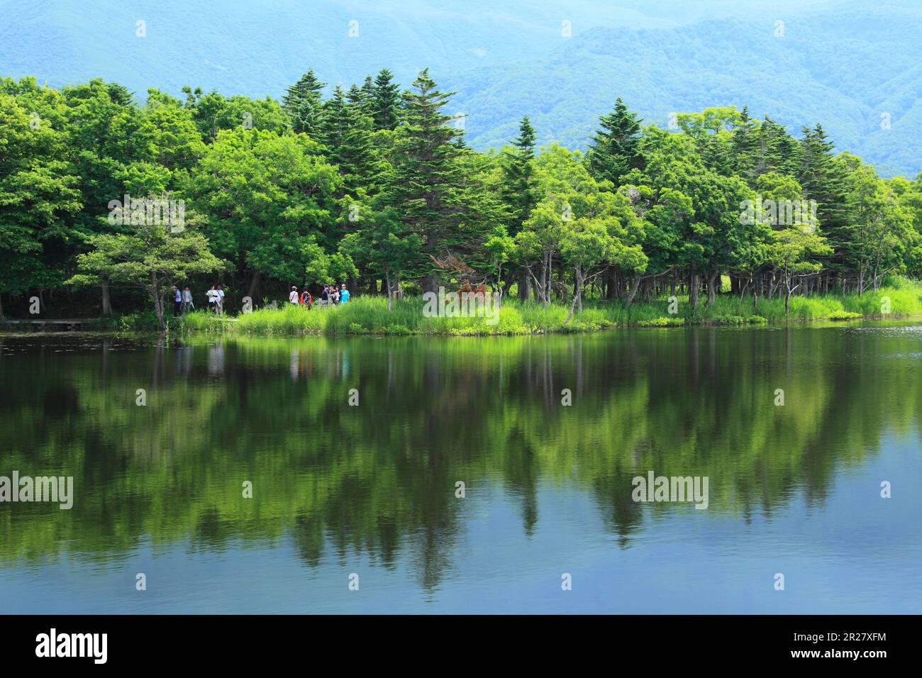 Shiretoko national park hokkaido hi-res stock photography and images ...