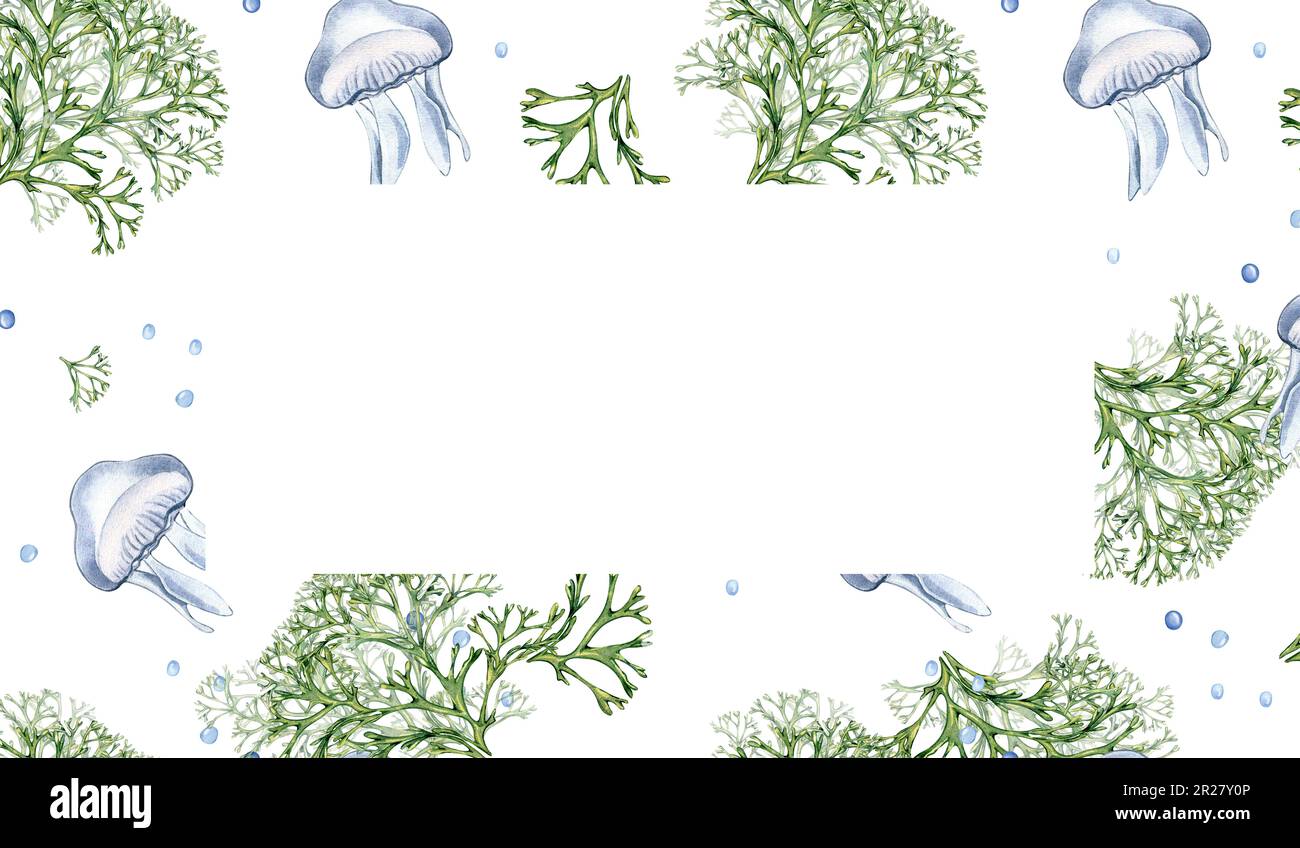 Frame of green sea plant and jellyfish watercolor illustration isolated ...