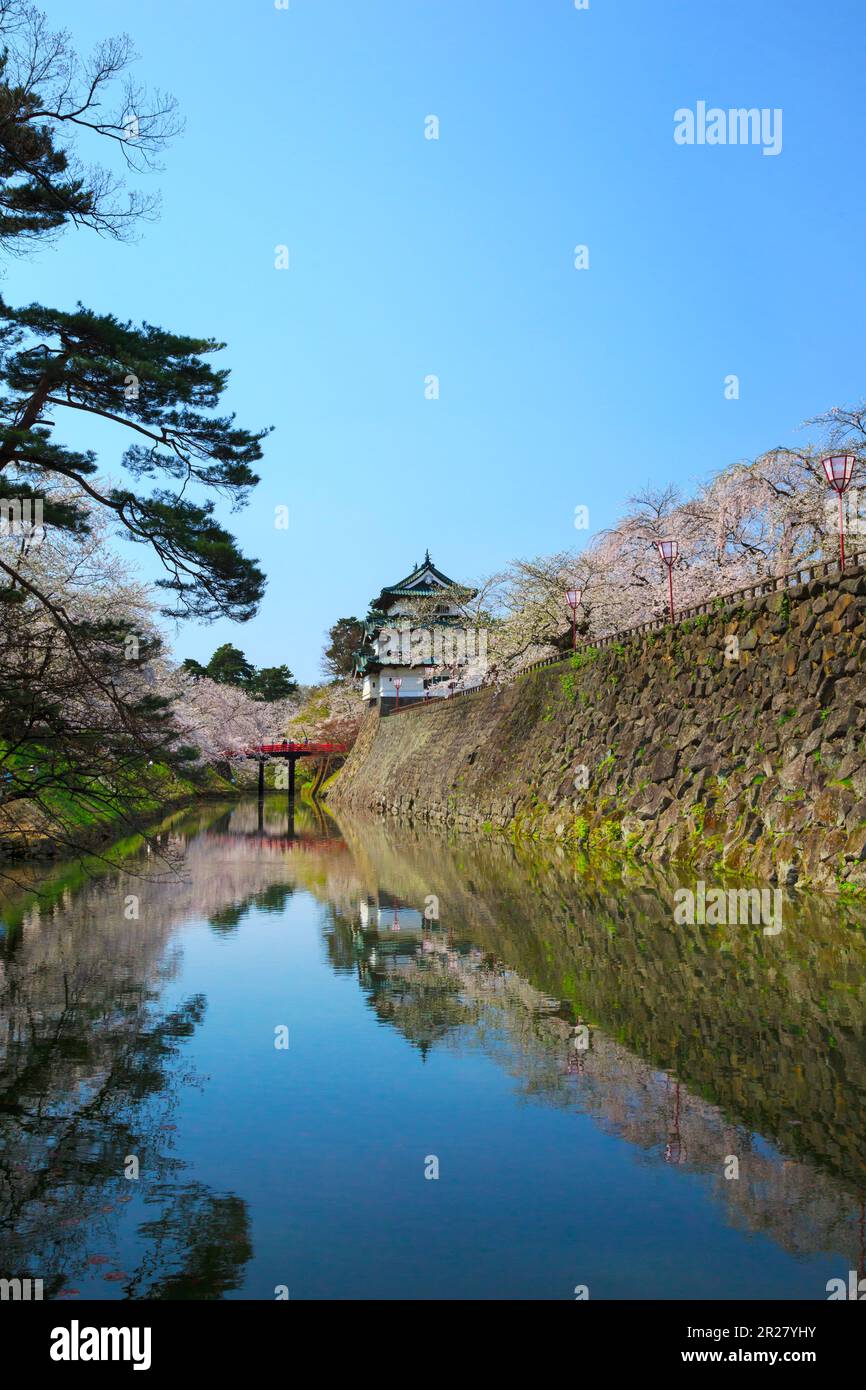 Inner moat, Hirosaki Castle and Gejyo Bridge in cherry blossams ...