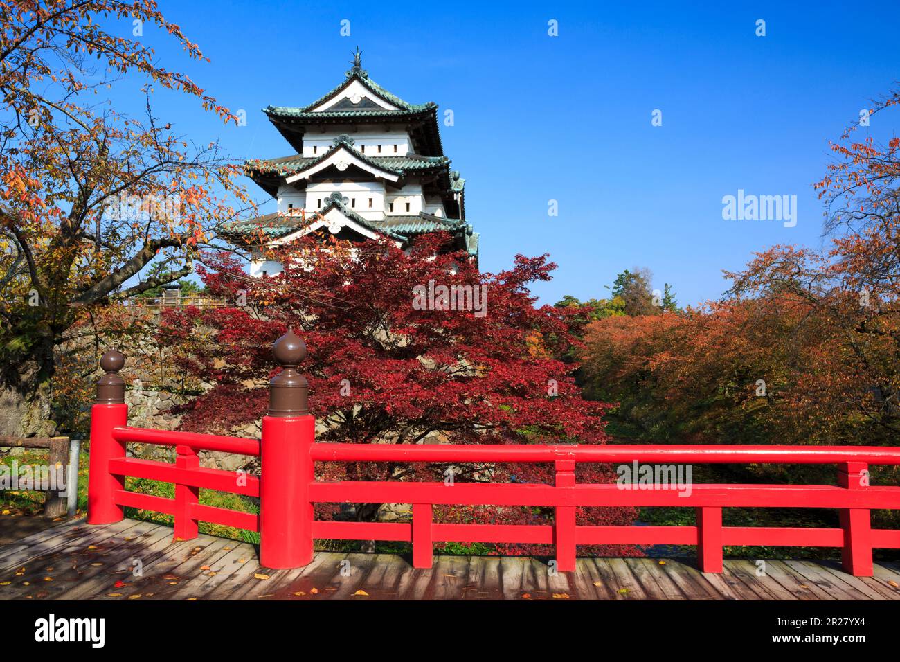 autumn trees ,Hirosakijo castle and Shimojo bridge in the Hirosakijo ...