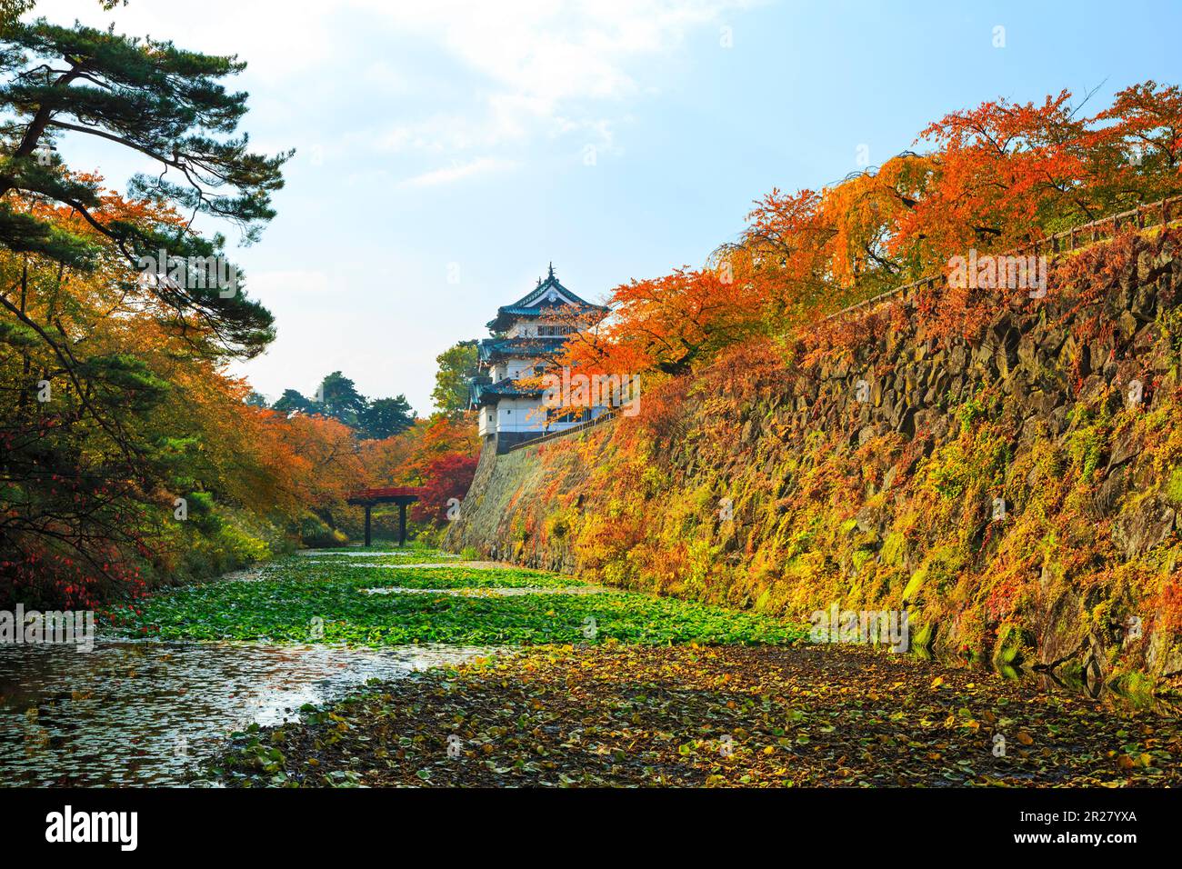 autumn trees and Hirosaki castle Stock Photo - Alamy