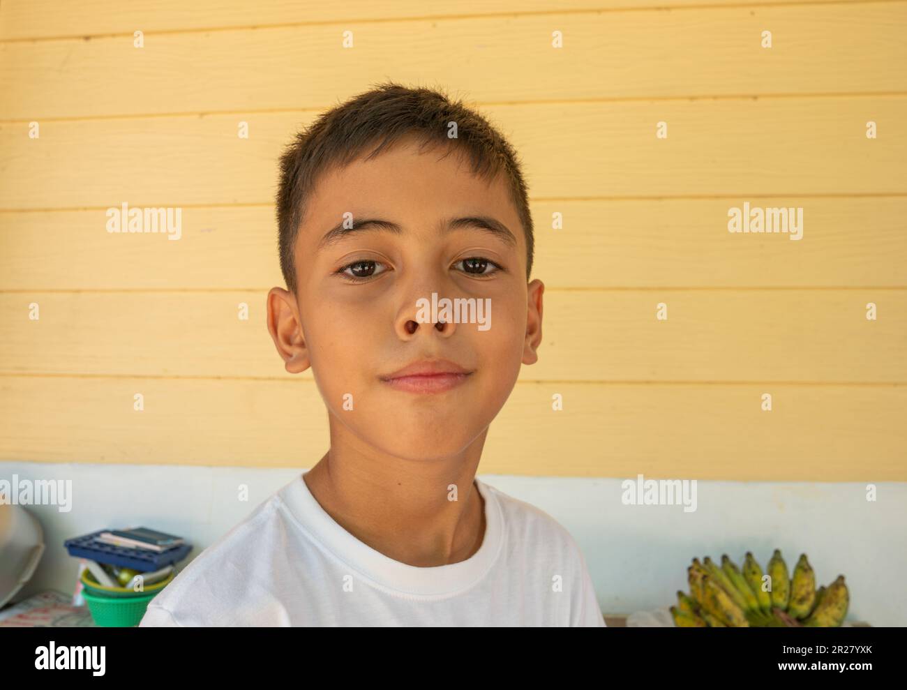 A cute boy with a smiling face healthy and cheerful. The cute boy ...