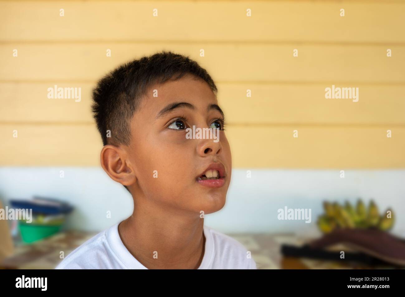 A cute boy with a smiling face healthy and cheerful. The cute boy ...