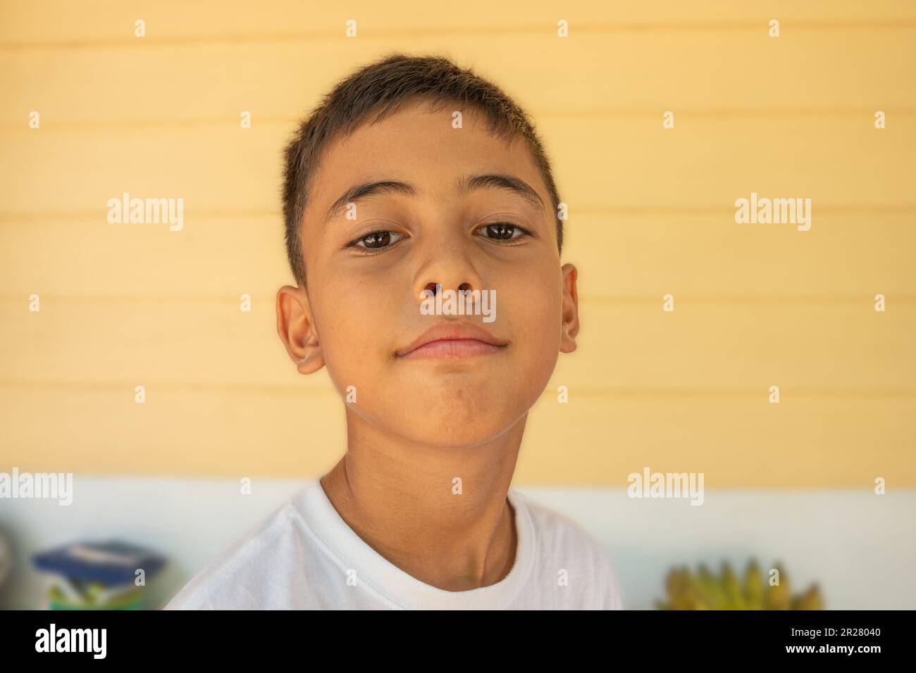 A cute boy with a smiling face healthy and cheerful. The cute boy ...