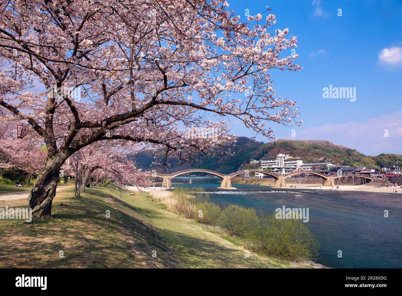 Japan pink cherry blossom bridge hi-res stock photography and images ...