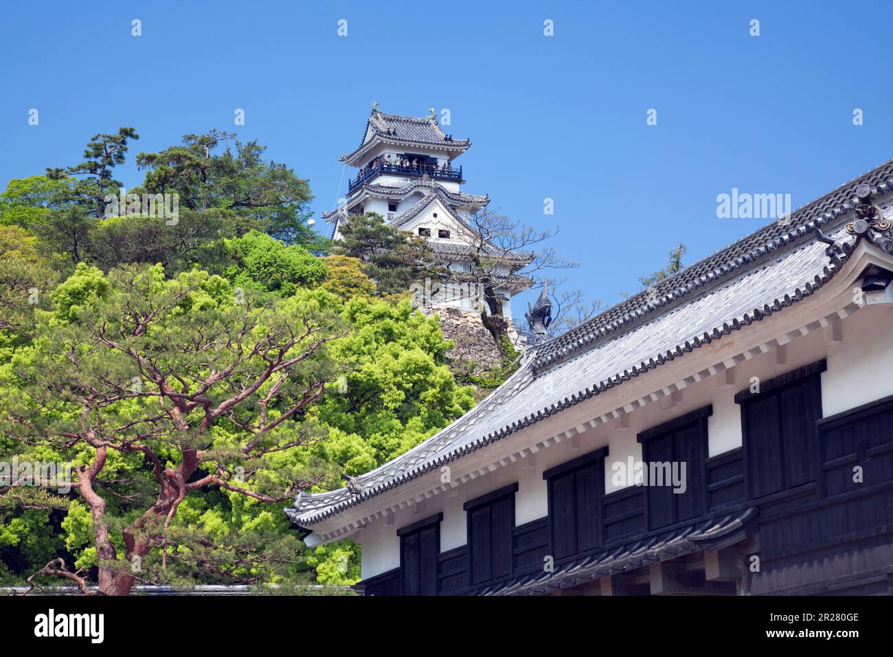 Kochi Castle and Otemon Stock Photo - Alamy