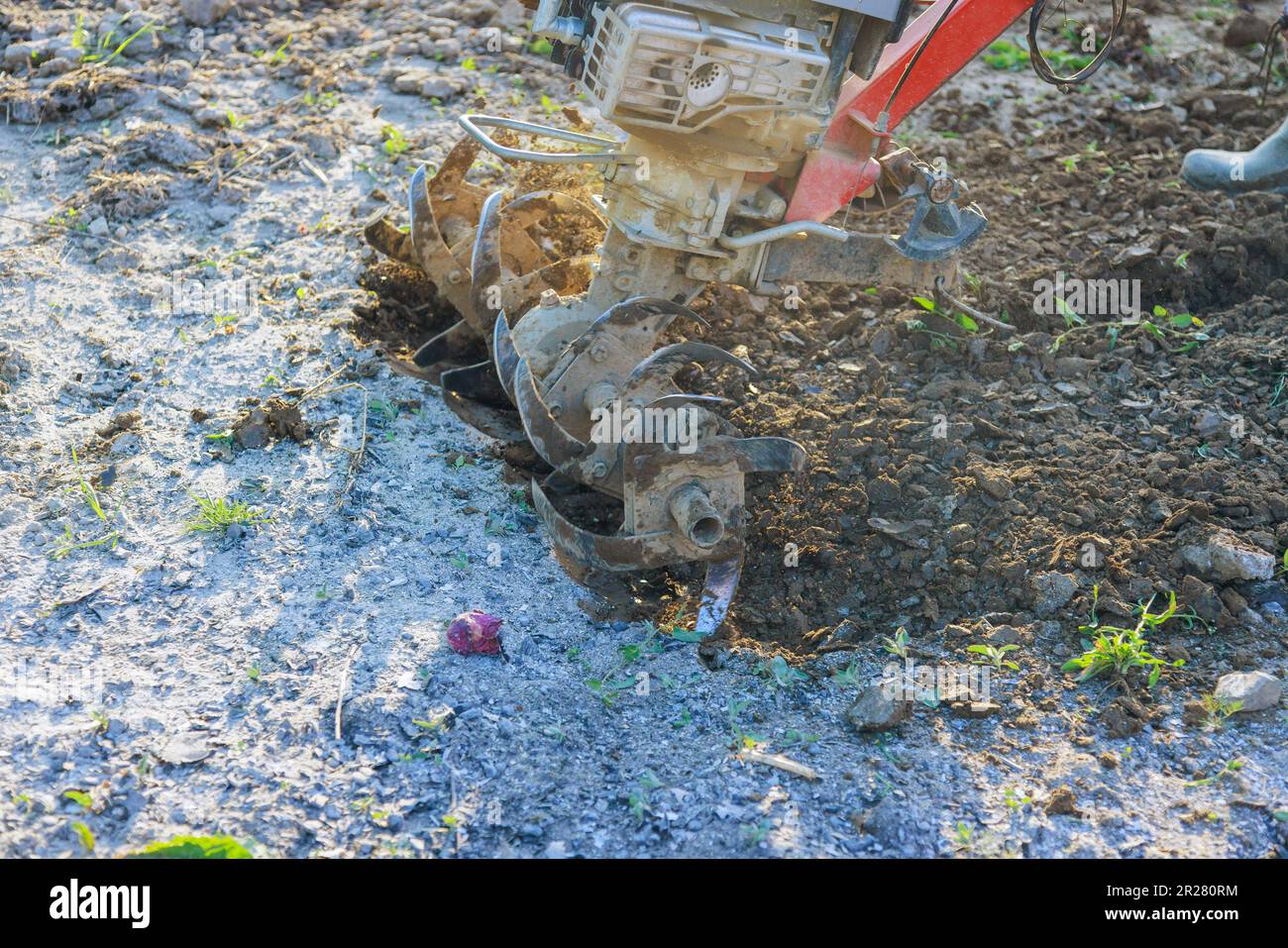 Farmer man plows land with cultivator machinery for soil cultivation in ...