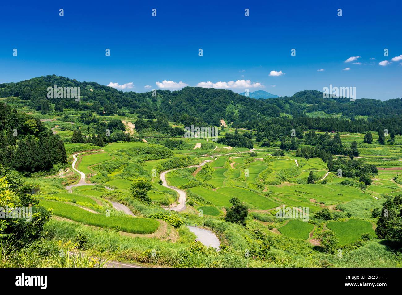 Rice terraces of Hoshitoge Stock Photo - Alamy
