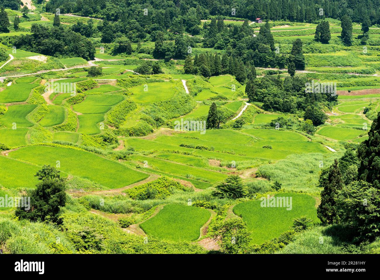 Rice terraces of Hoshitoge Stock Photo - Alamy