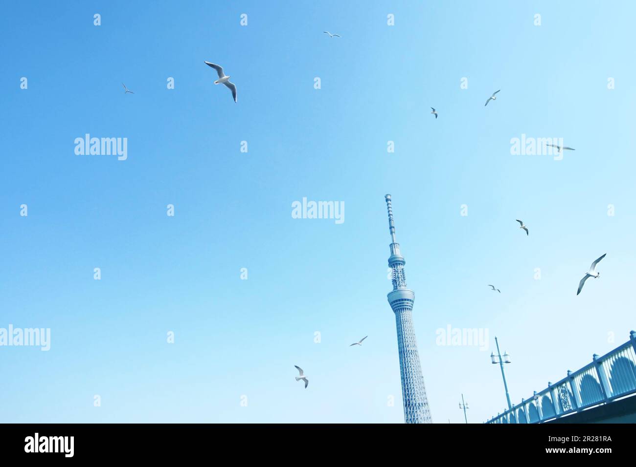 Tokyo Sky Tree Stock Photo - Alamy