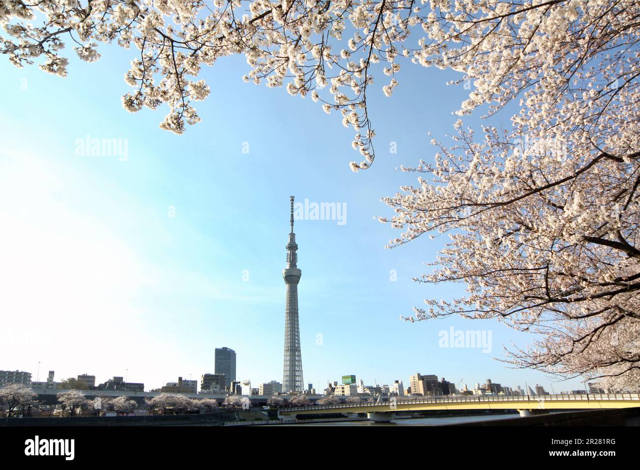 Tokyo Sky Tree Stock Photo - Alamy