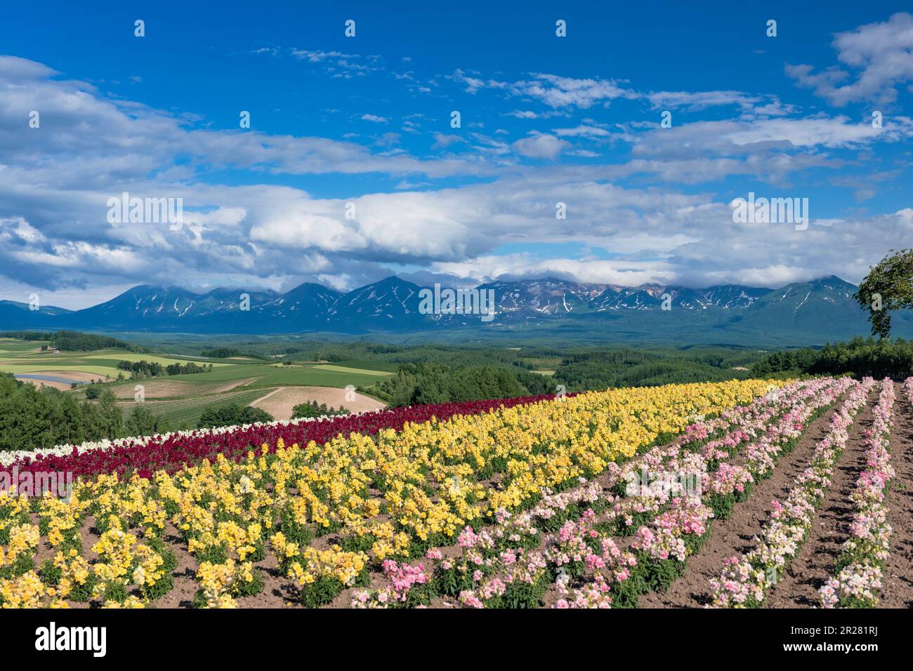Mount tokachi daisetsuzan hi-res stock photography and images - Alamy