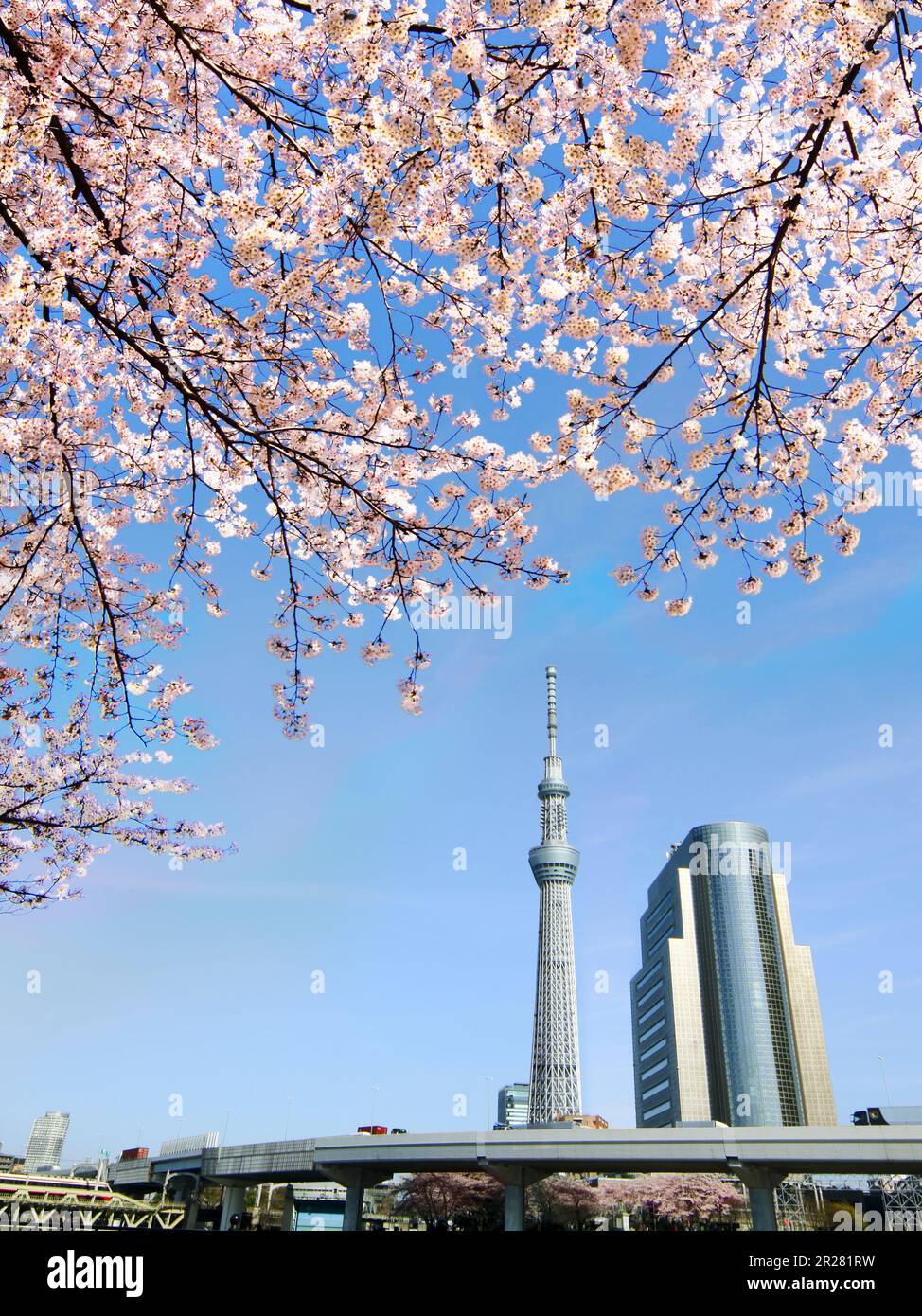 Tokyo japan 31st march hi-res stock photography and images - Alamy