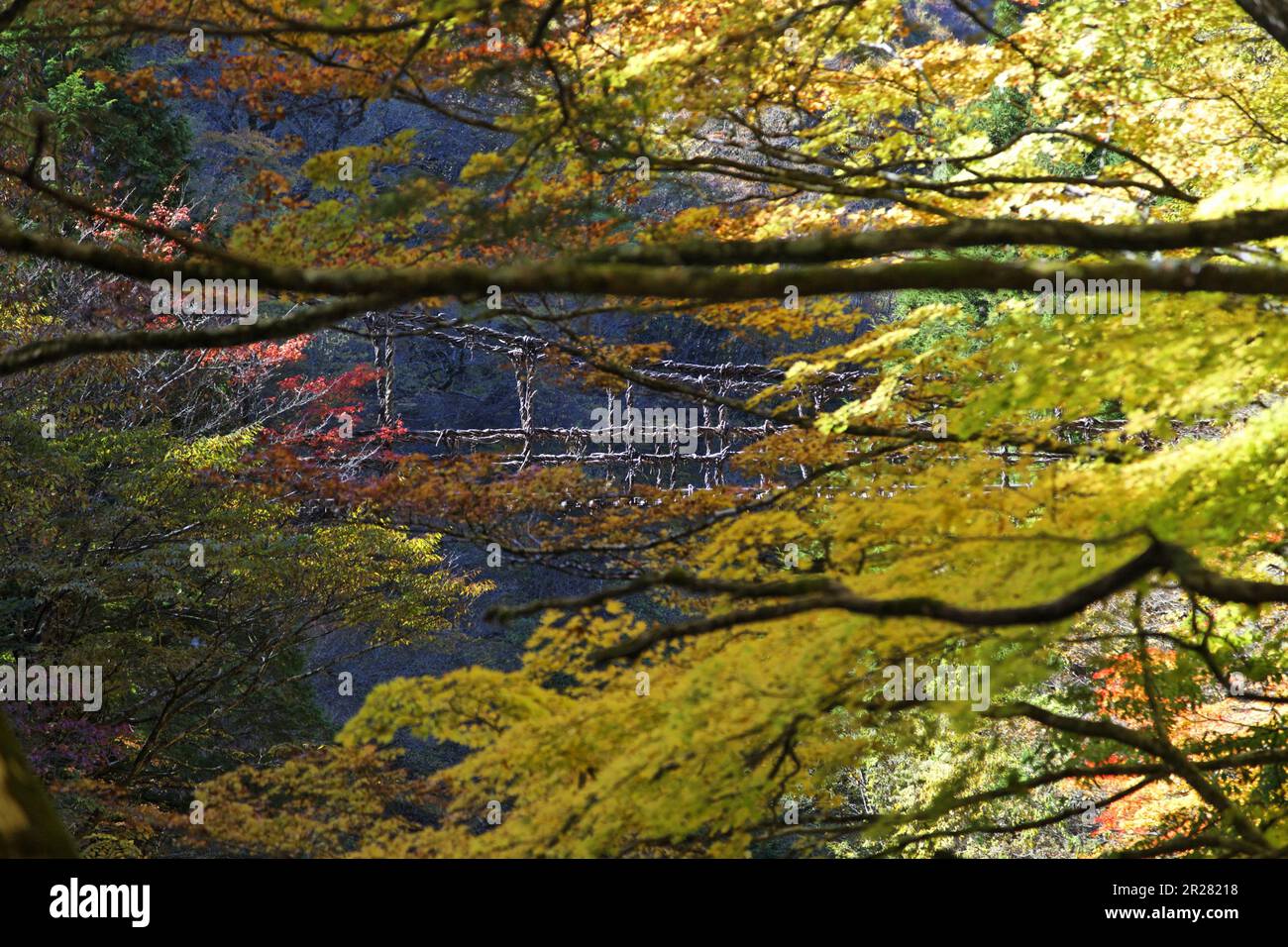 Okuiya kazurabashi bridge hi-res stock photography and images - Alamy
