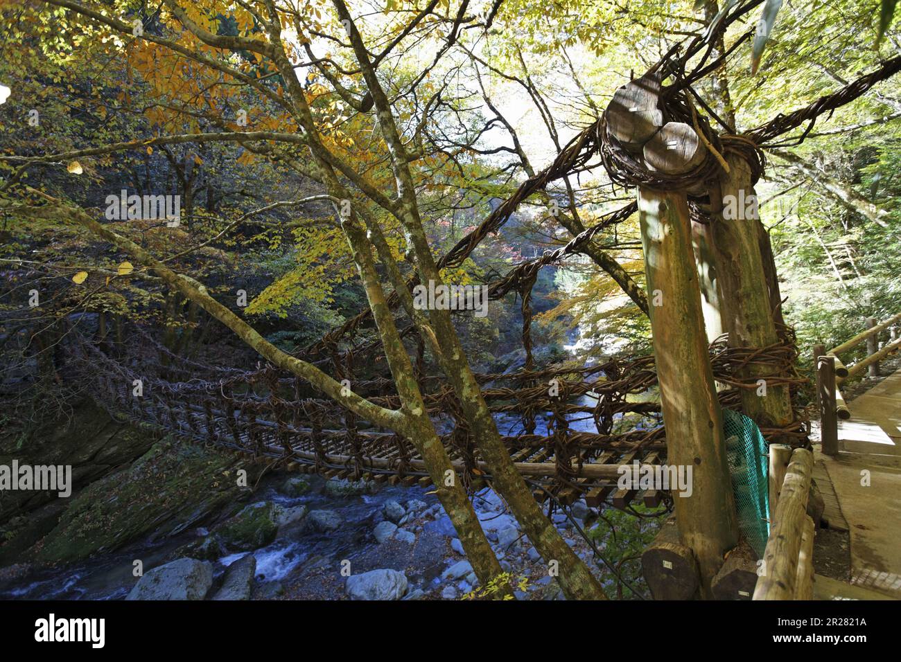 Double Vine Bridge Stock Photo - Alamy