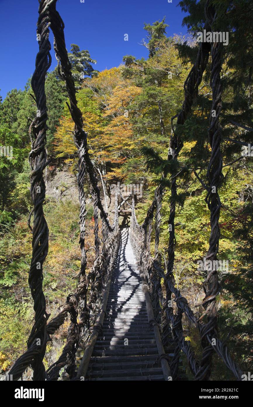 Double Vine Bridge Stock Photo - Alamy