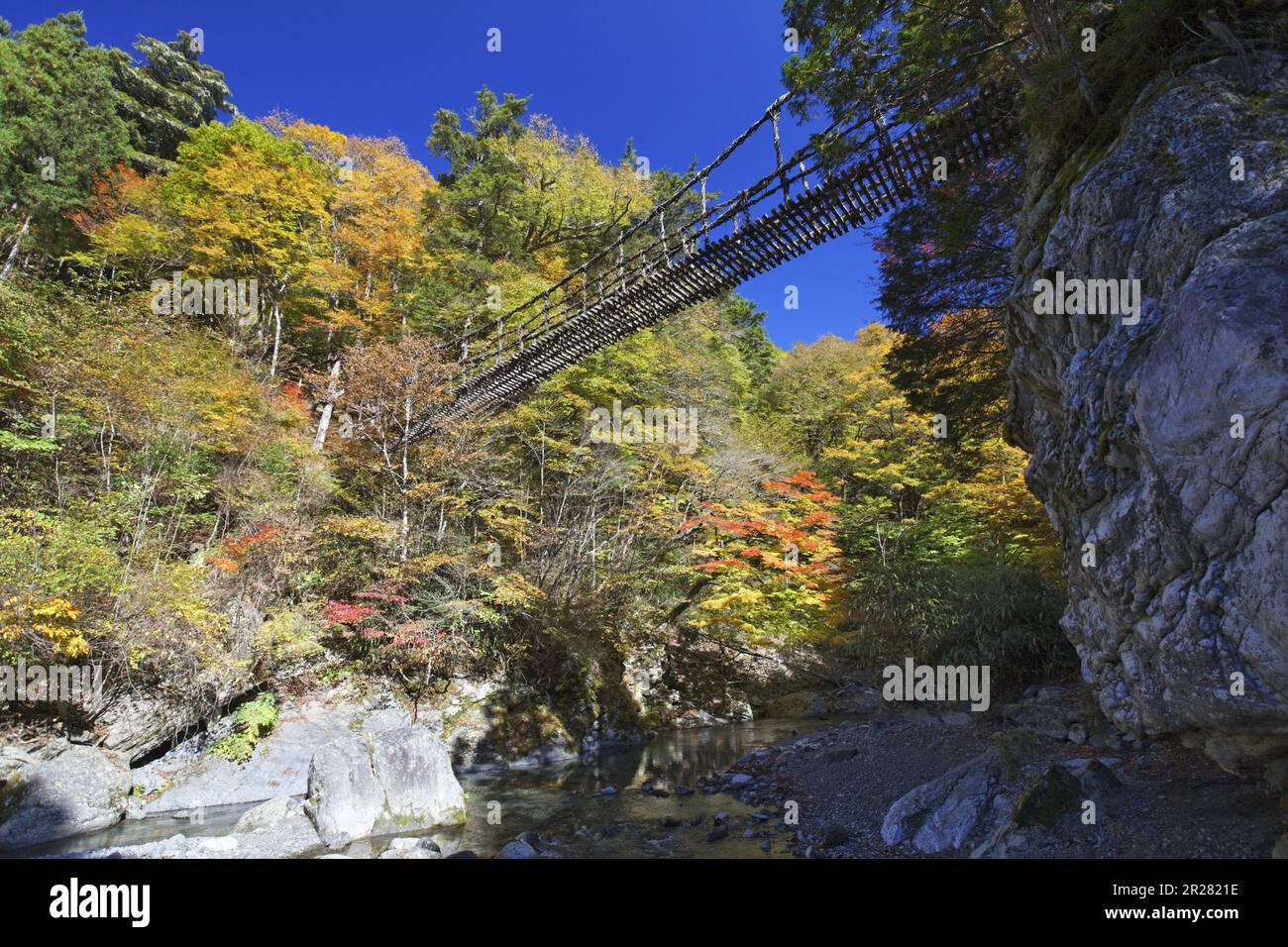 Double Vine Bridge Stock Photo - Alamy