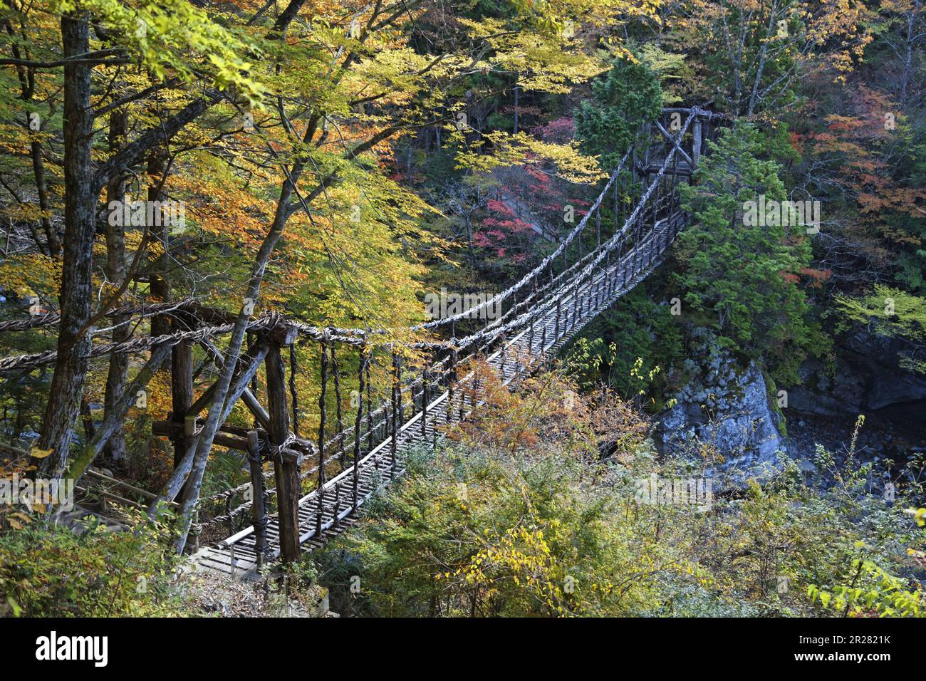 Double Vine Bridge Stock Photo - Alamy
