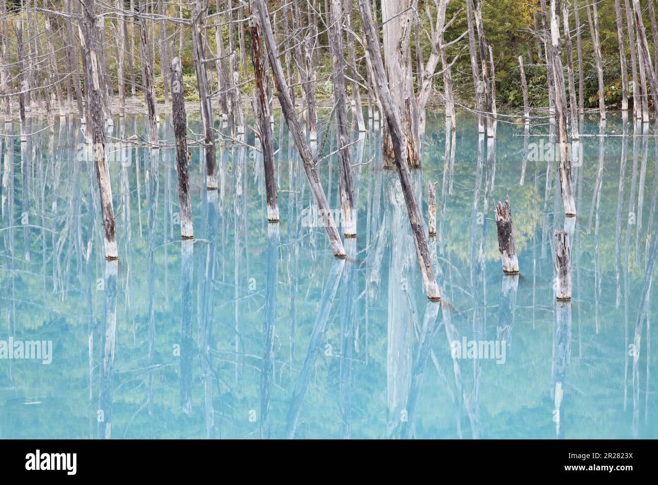 Aoi ike biei hokkaido hi-res stock photography and images - Alamy