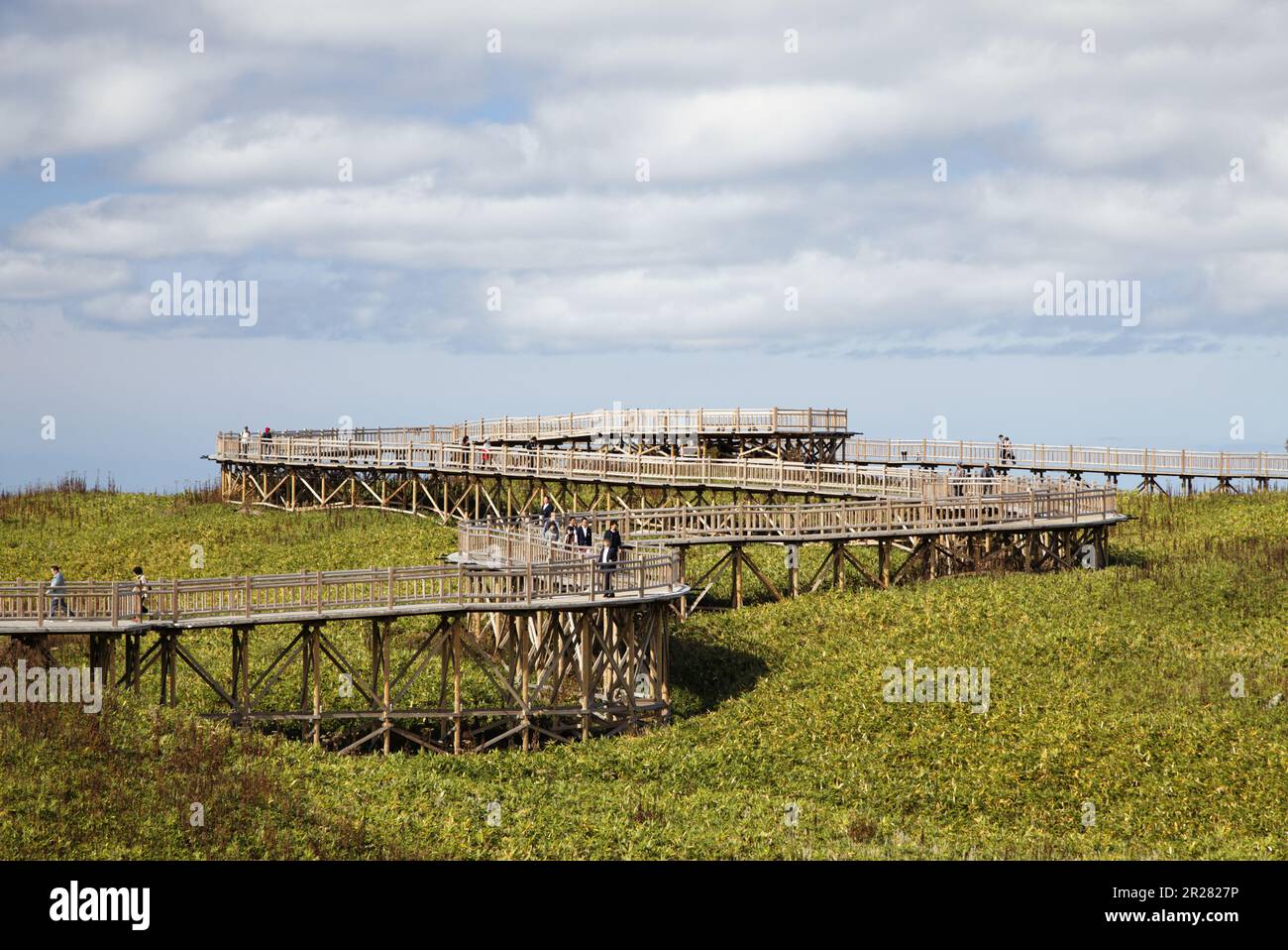 elevated wooden path, tourists Stock Photo - Alamy