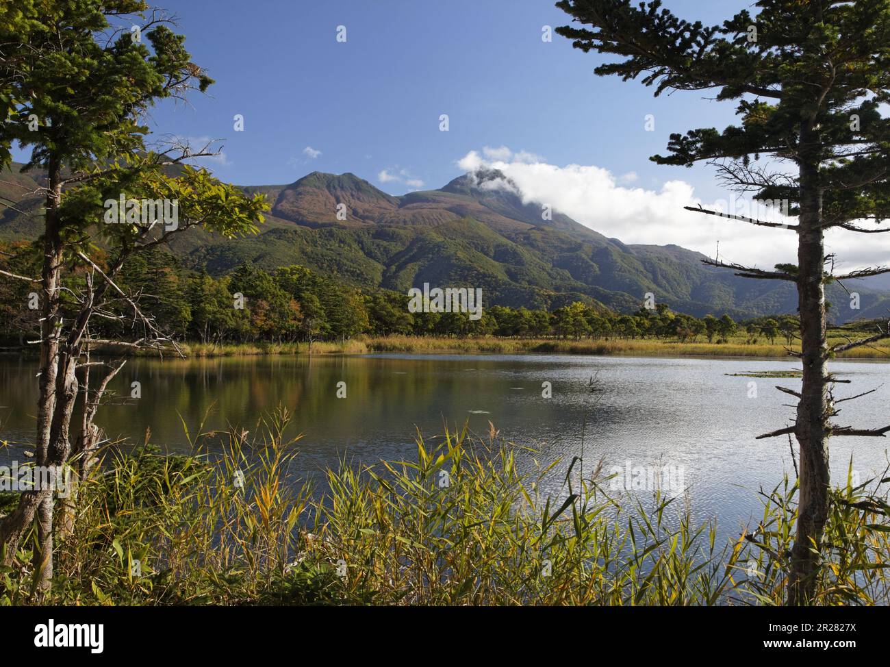 Ichiko hi-res stock photography and images - Alamy