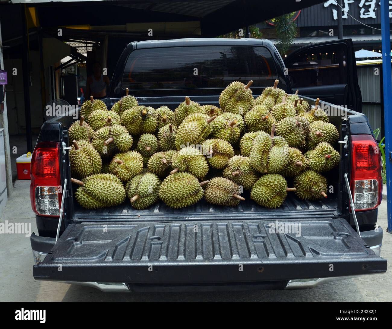A pickup truck full of Durians Stock Photo - Alamy