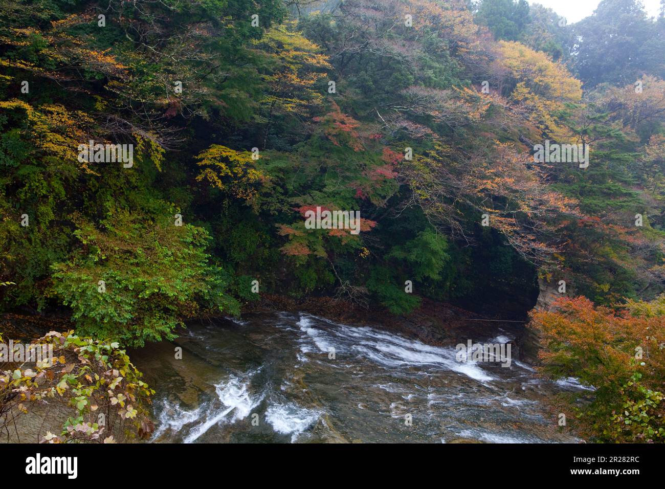 Yoro ravine turning red Stock Photo - Alamy