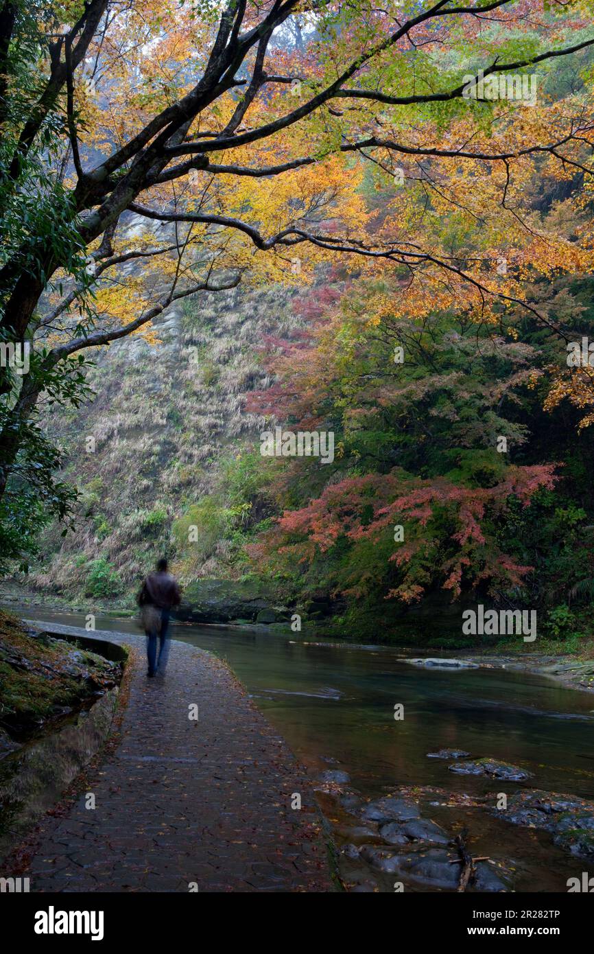 Yoro park hi-res stock photography and images - Alamy