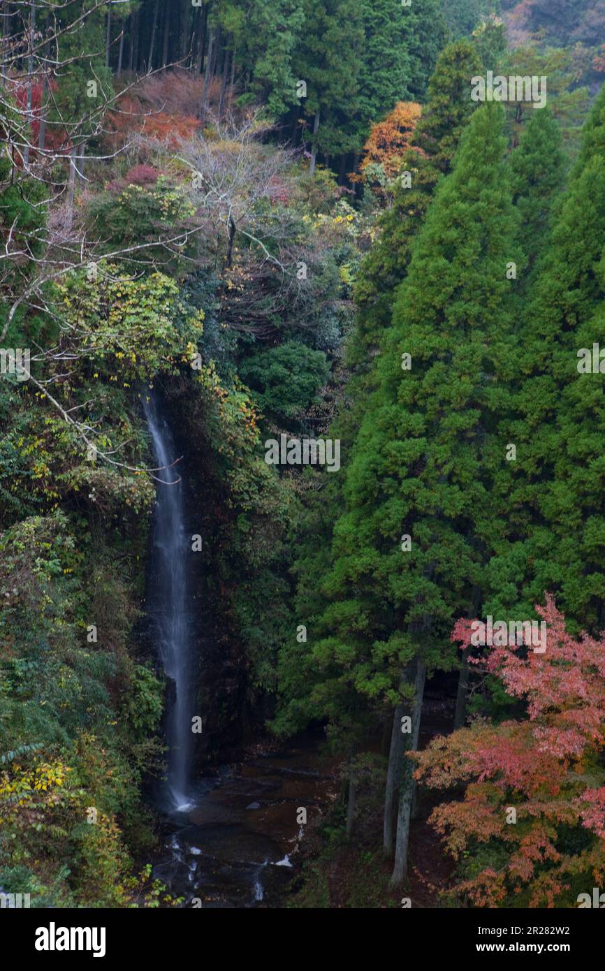 Yoro ravine turning red and Maboroshi waterfall Stock Photo - Alamy
