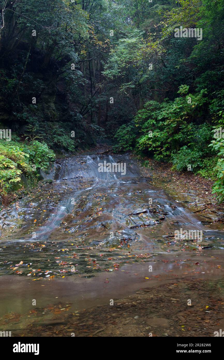 Yoro ravine turning red Stock Photo - Alamy