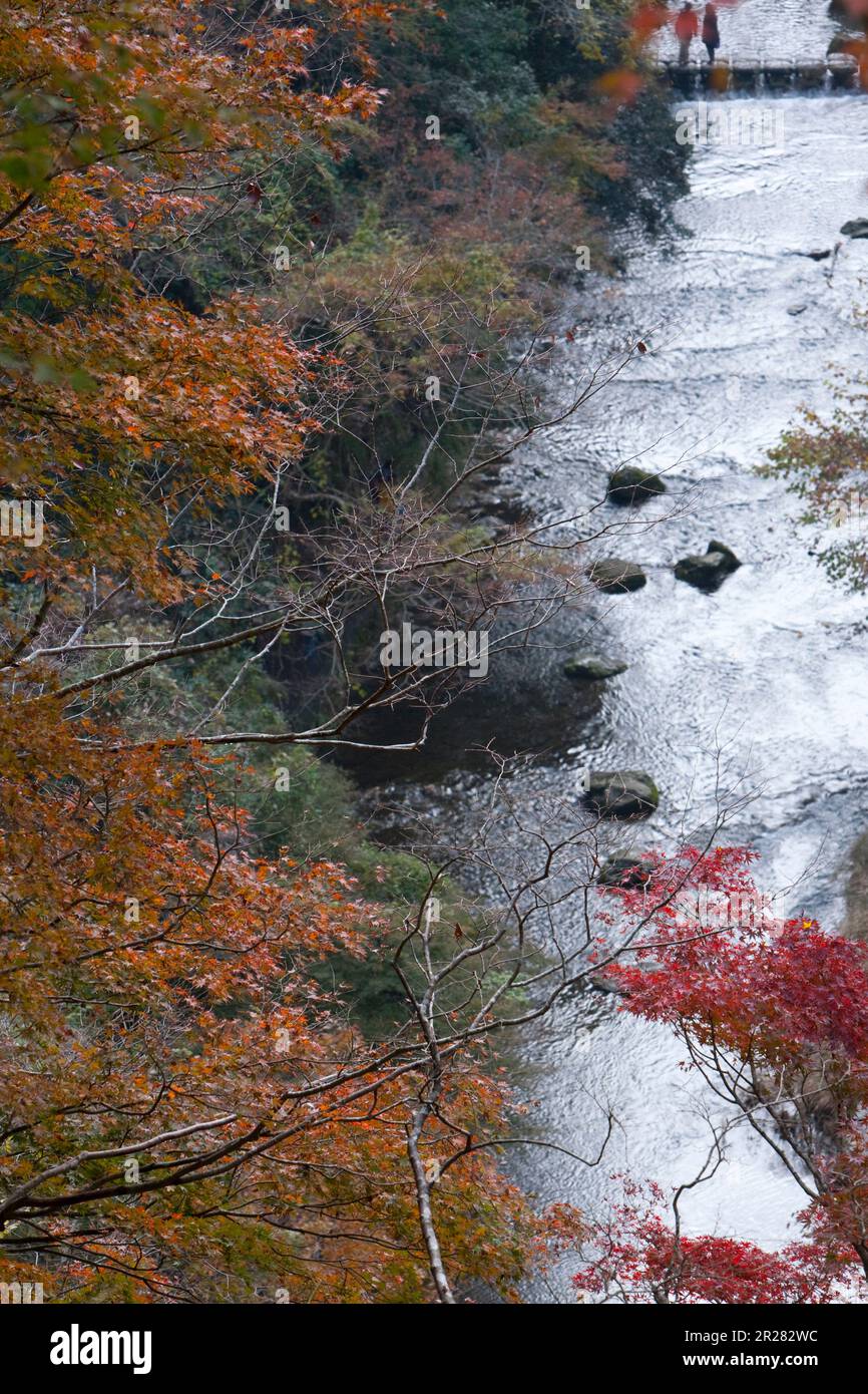 Yoro park hi-res stock photography and images - Alamy