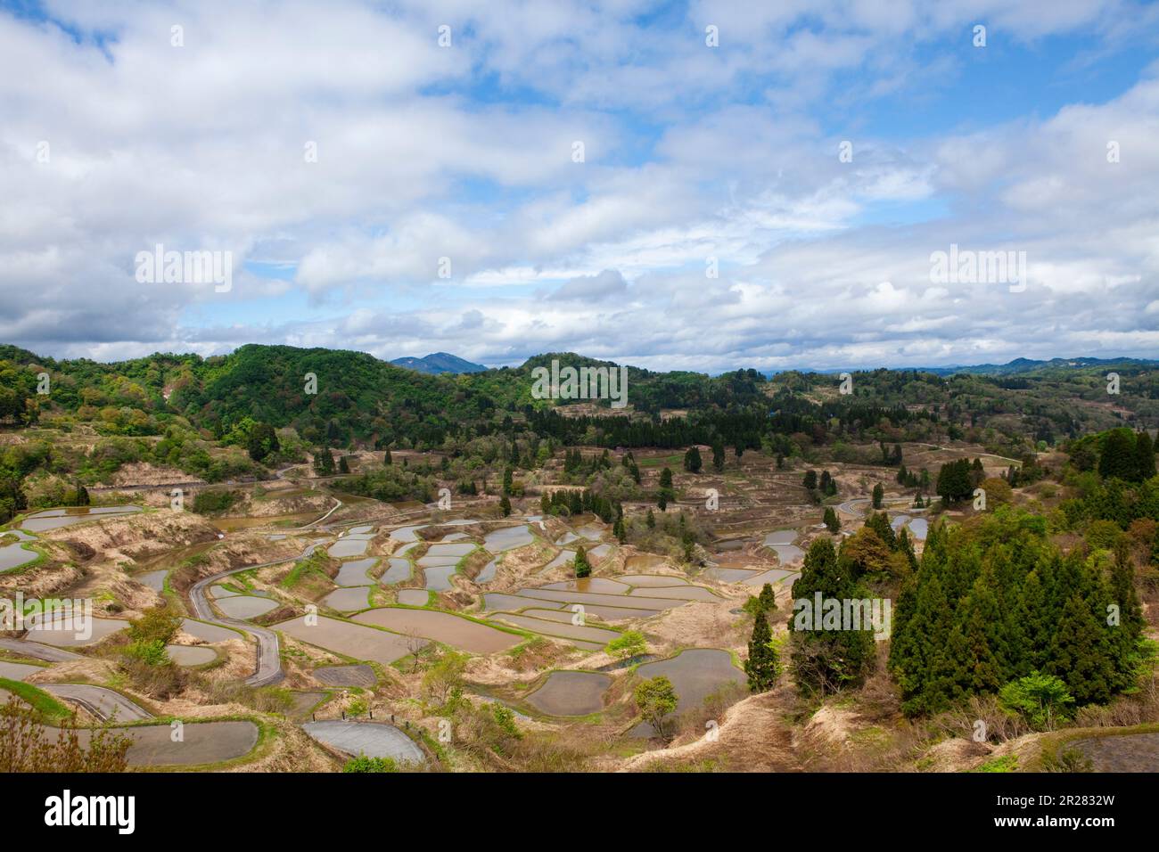 Rice terraces of Hoshitoge Stock Photo - Alamy