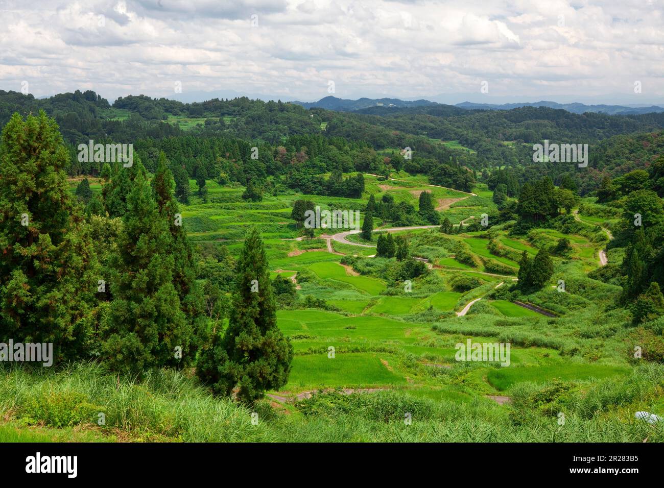 Rice terraces of Hoshitoge Stock Photo - Alamy