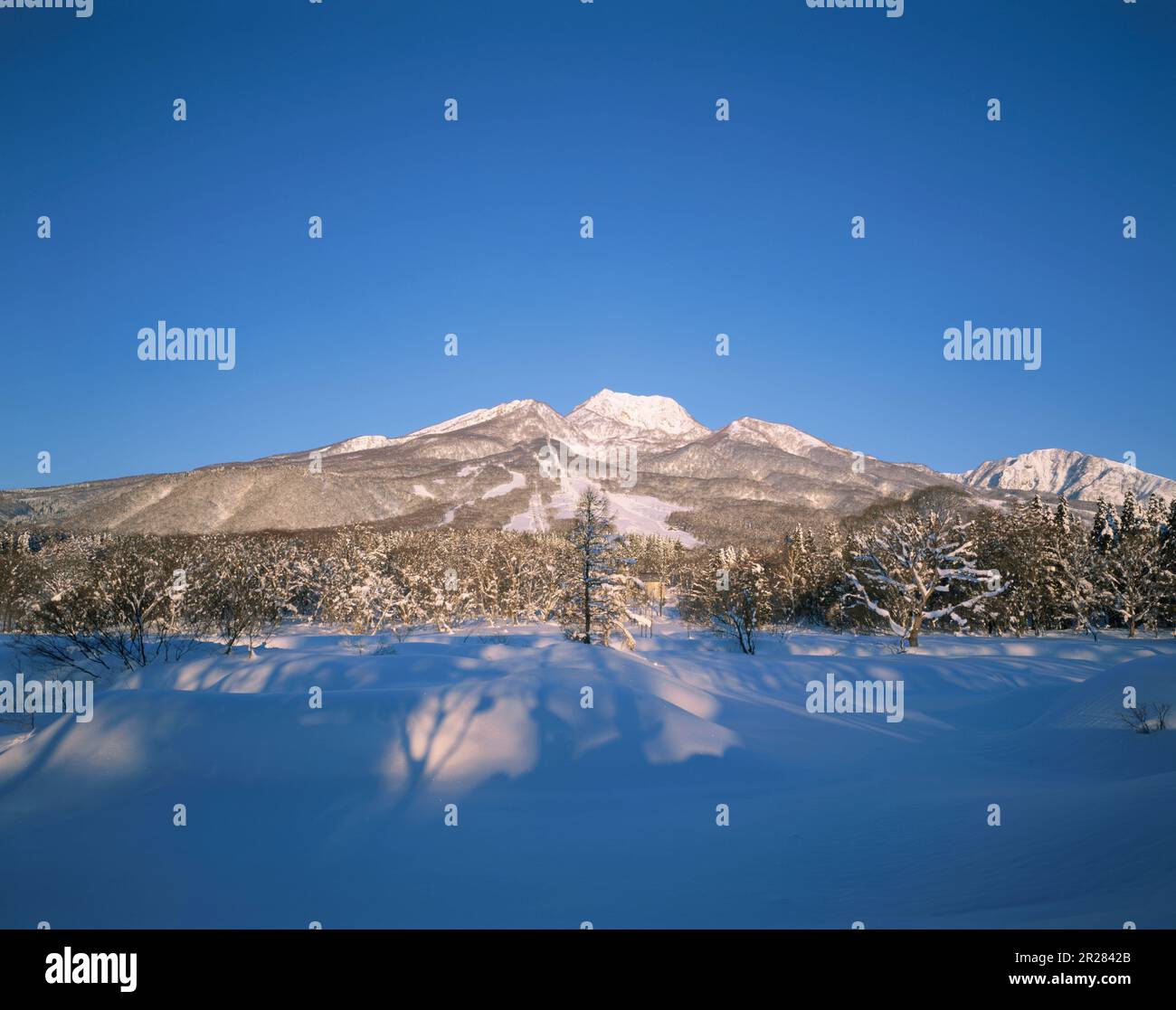 Mt. Myoko piled up in snow Stock Photo - Alamy