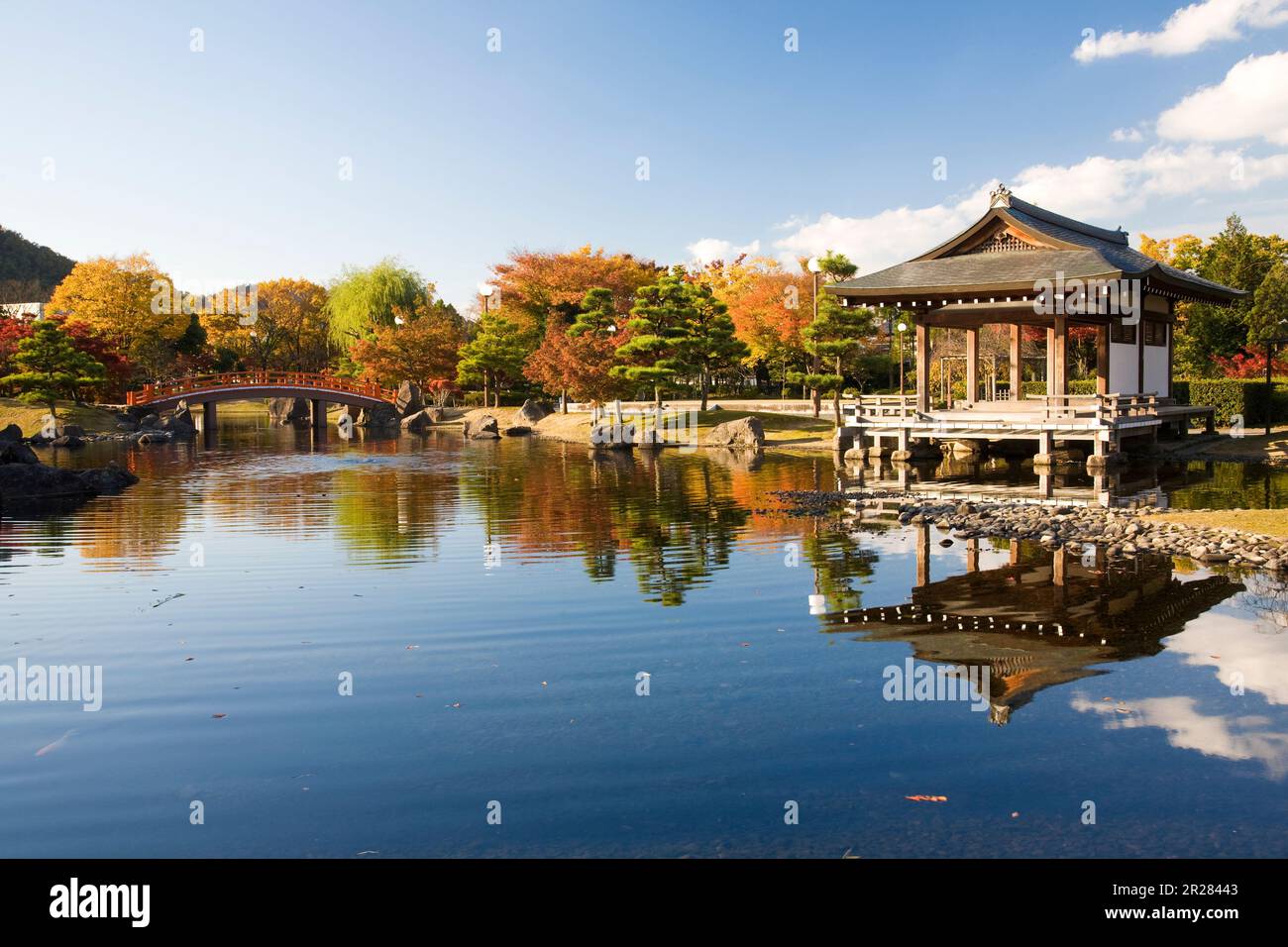 Murasaki color hi-res stock photography and images - Alamy