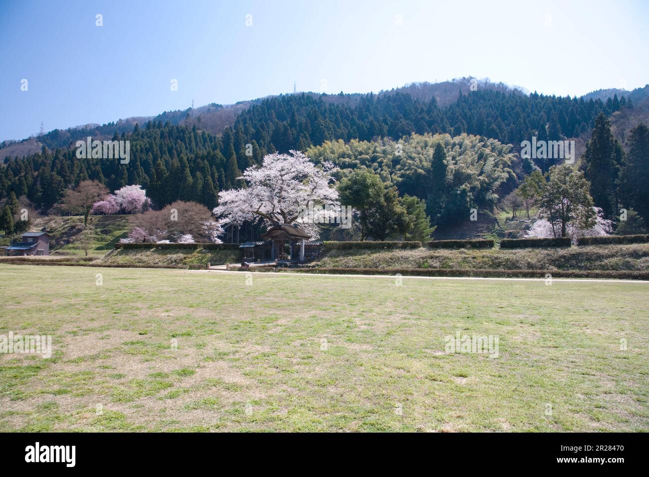 Karamon at the Ichijodani Asakura Clan ruins Stock Photo - Alamy