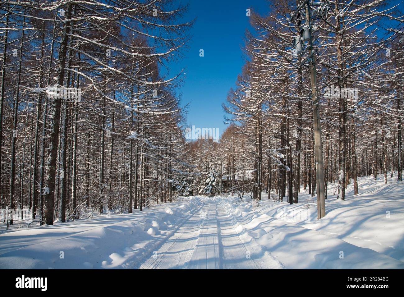 Snow-lined walkway Kirigamine Venus Line Stock Photo - Alamy