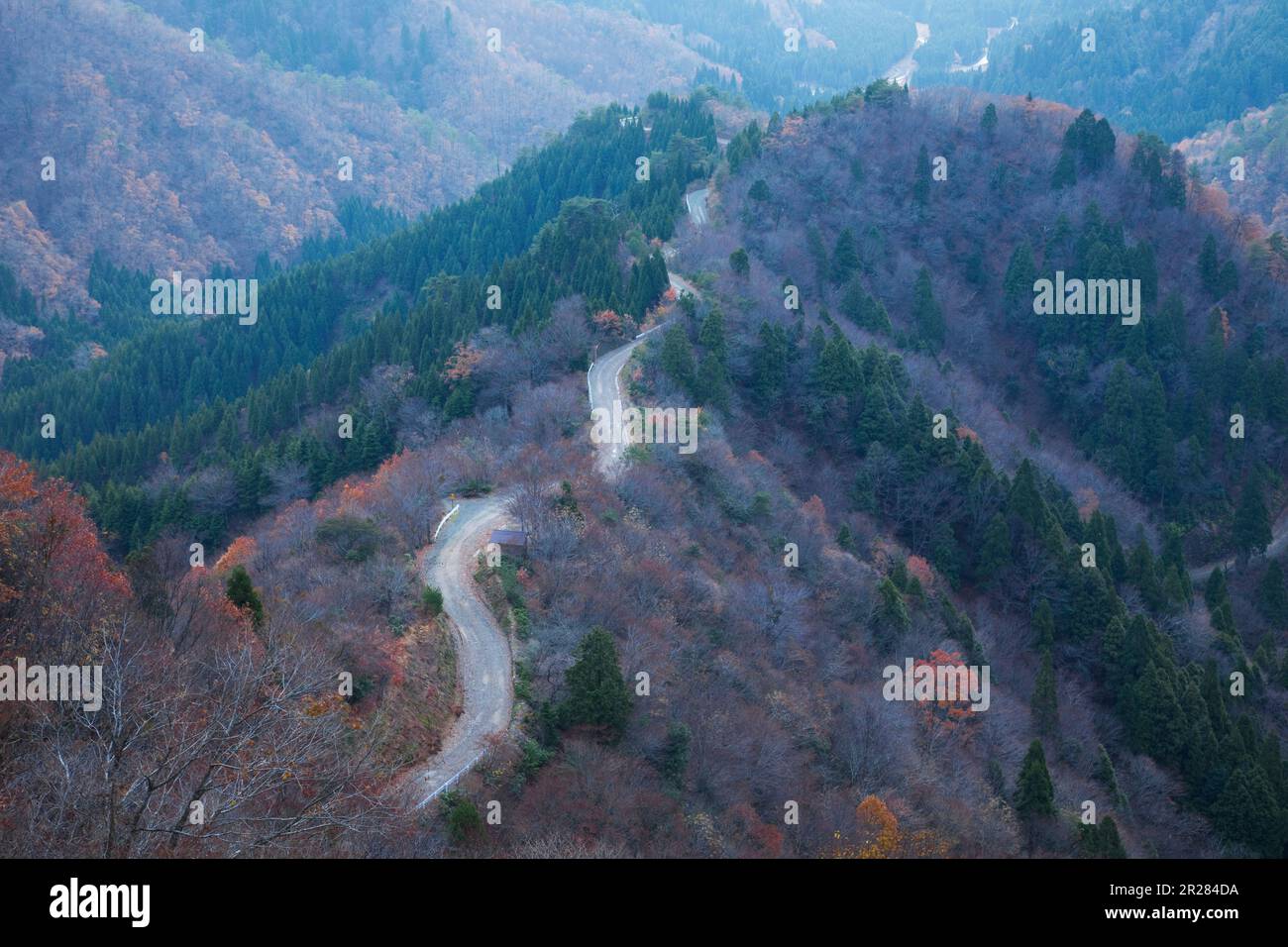 Leaf ridges hi-res stock photography and images - Alamy