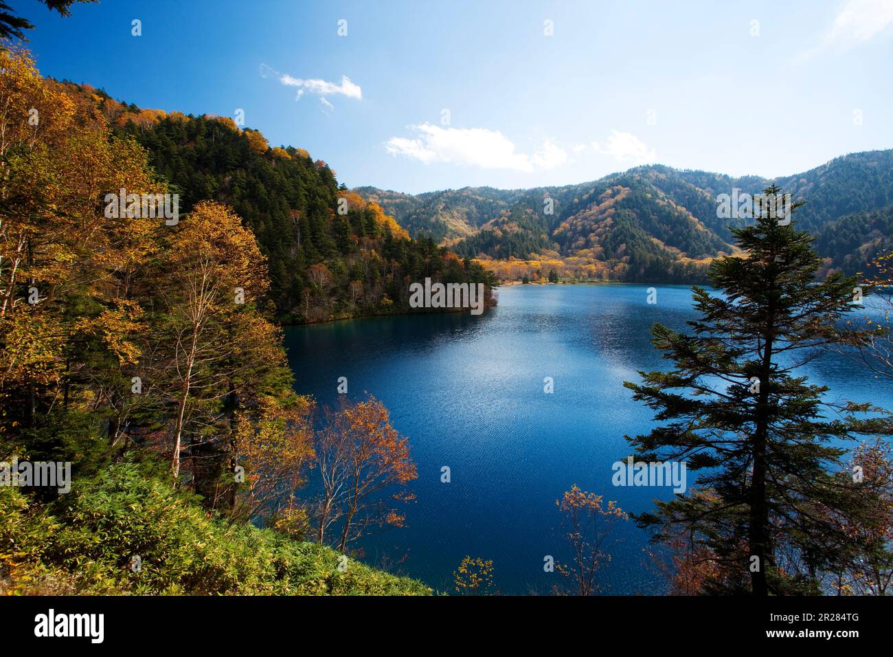 Onuma gun hi-res stock photography and images - Alamy