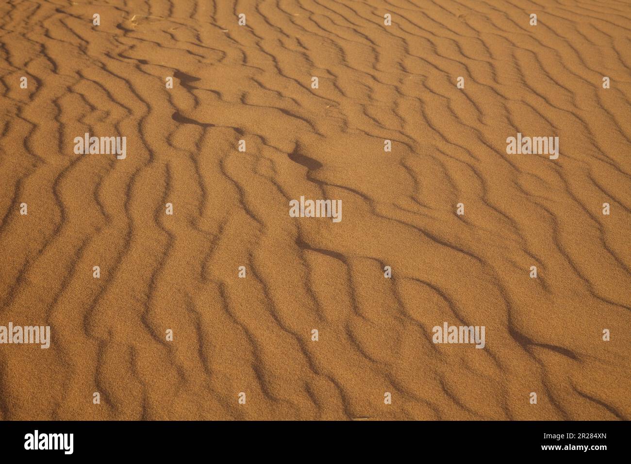 Tottori sand dunes, wind ripple Stock Photo - Alamy
