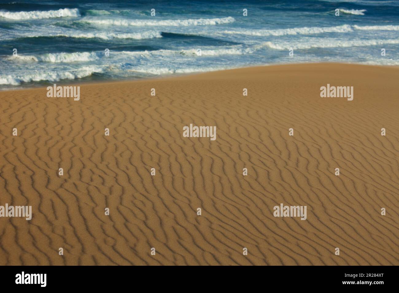 Tottori sand dunes, wind ripple Stock Photo - Alamy