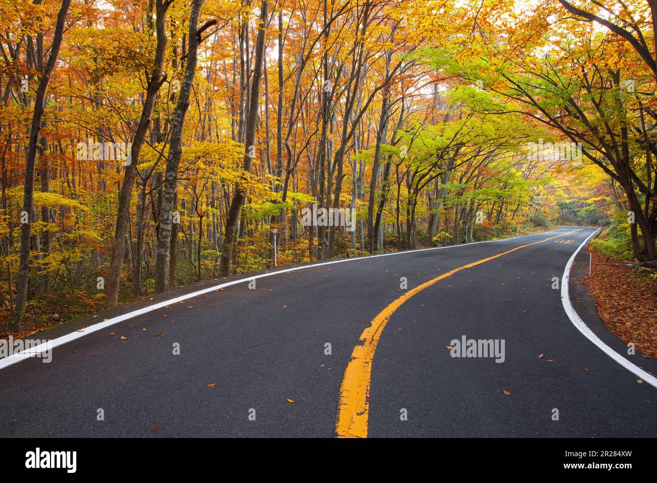 Oyama ring road hi-res stock photography and images - Alamy
