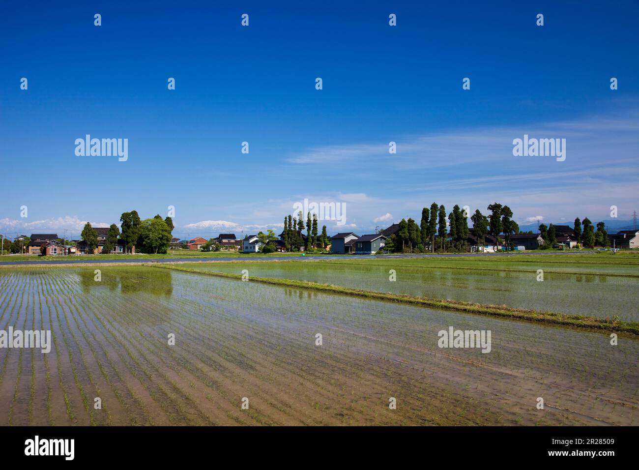 Sankyoson hi-res stock photography and images - Alamy
