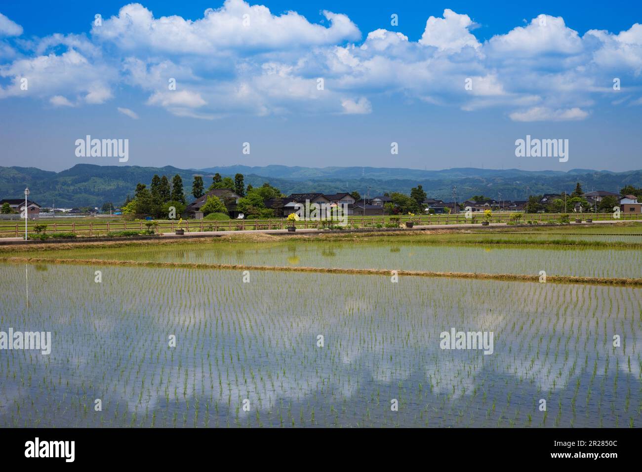 Sankyoson hi-res stock photography and images - Alamy