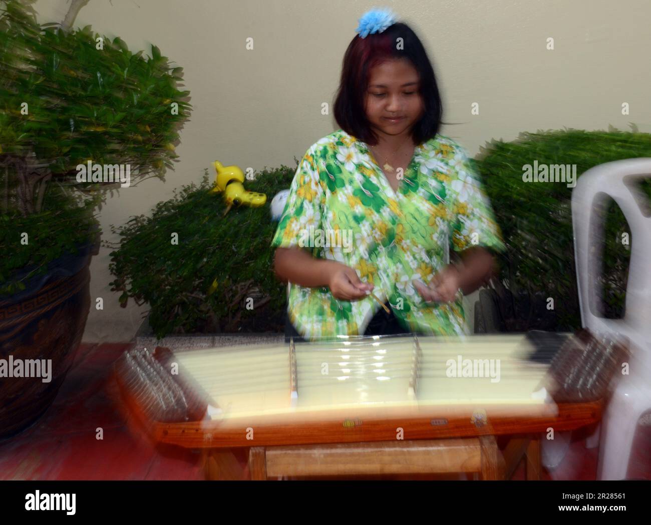 A Thai girl playing the Khim instrument Stock Photo - Alamy