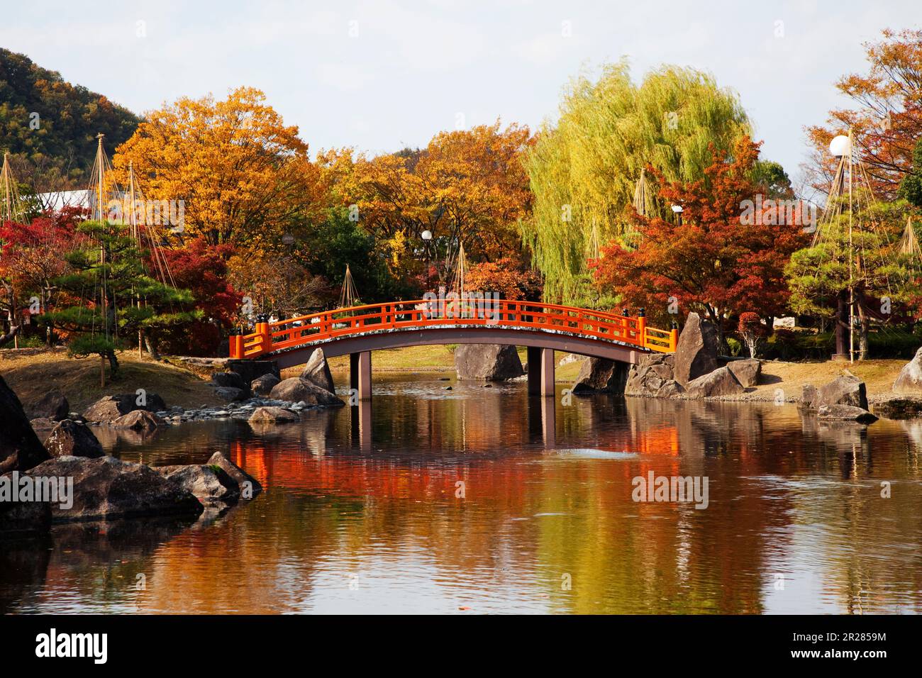 Murasaki color hi-res stock photography and images - Alamy